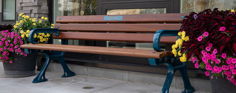 Benches | Frances Andrew